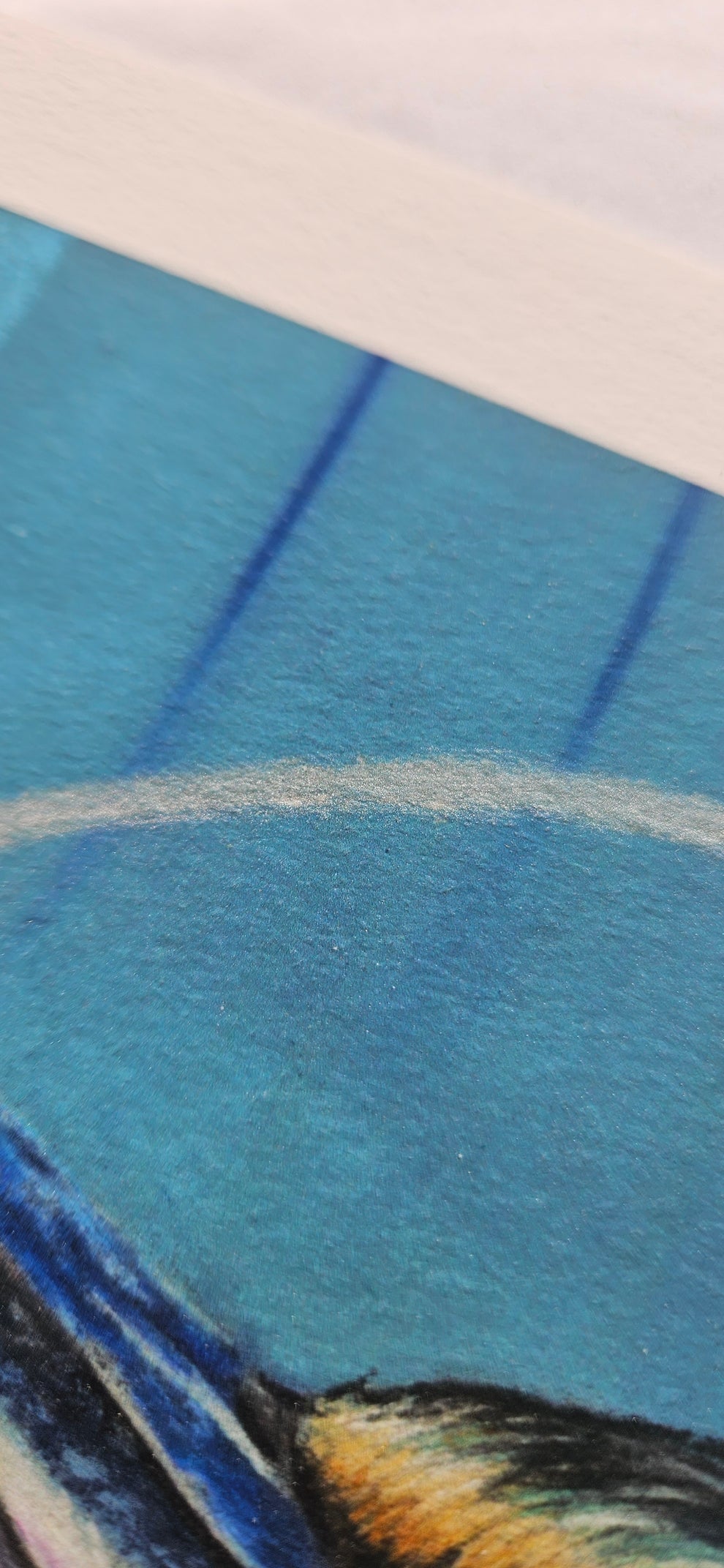 Sacred Kotare Kingfisher - Limited Edition Fine Art Print – Karen ...