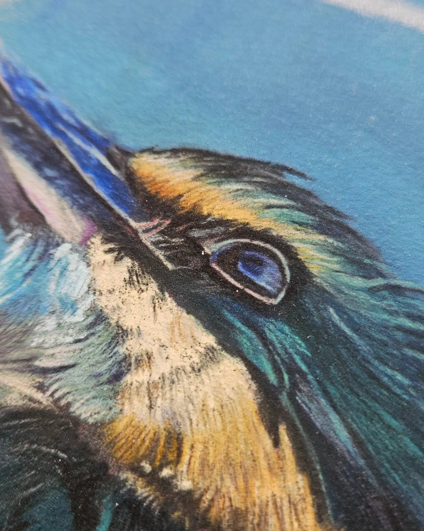 Sacred Kotare Kingfisher - Limited Edition Fine Art Print – Karen ...